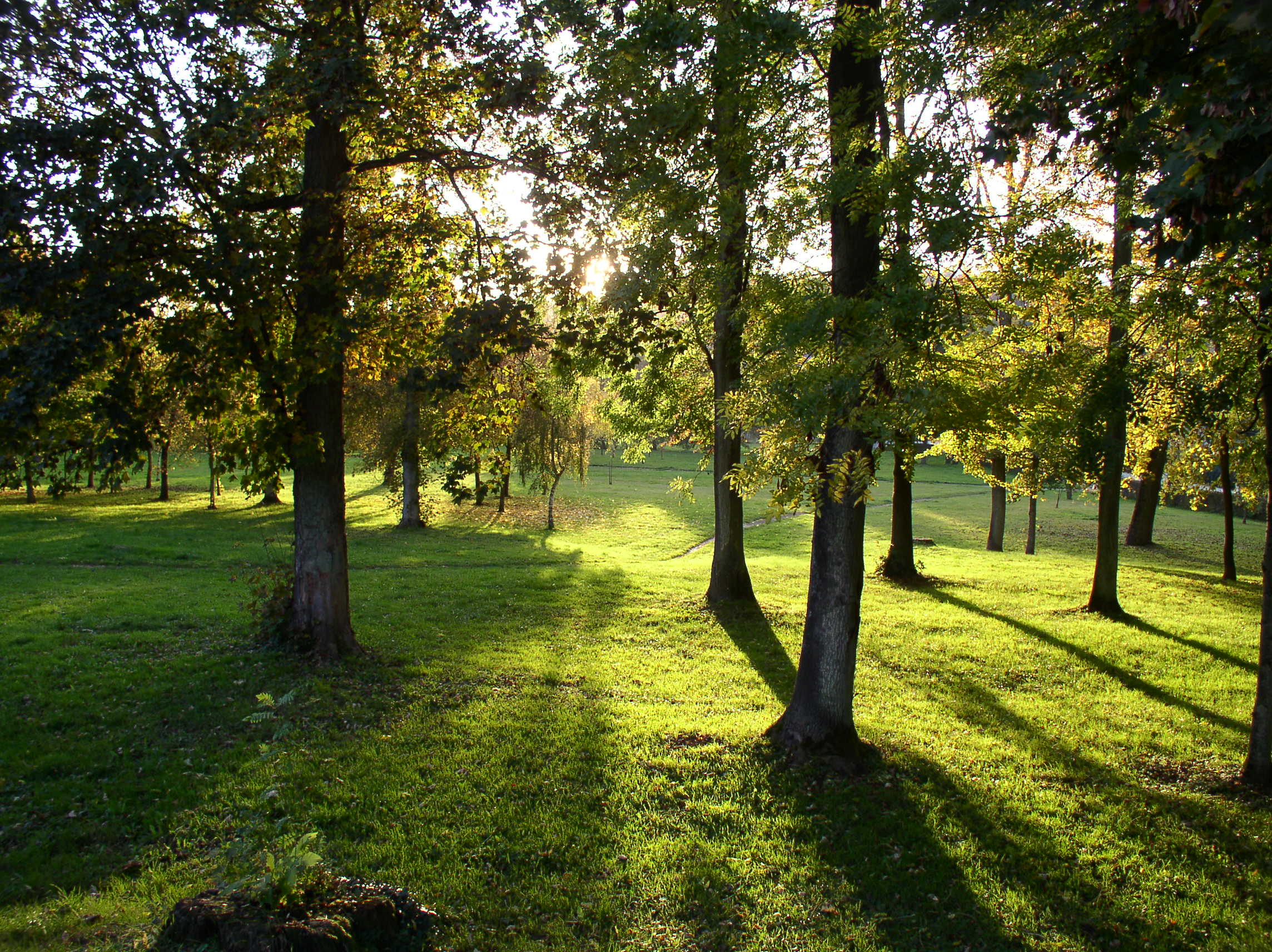 Messancy | Cercle d'histoire de Messancy